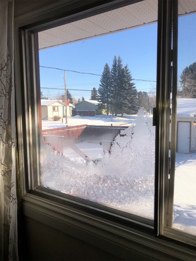 Frost and Condensation on Windows - Inspection Works